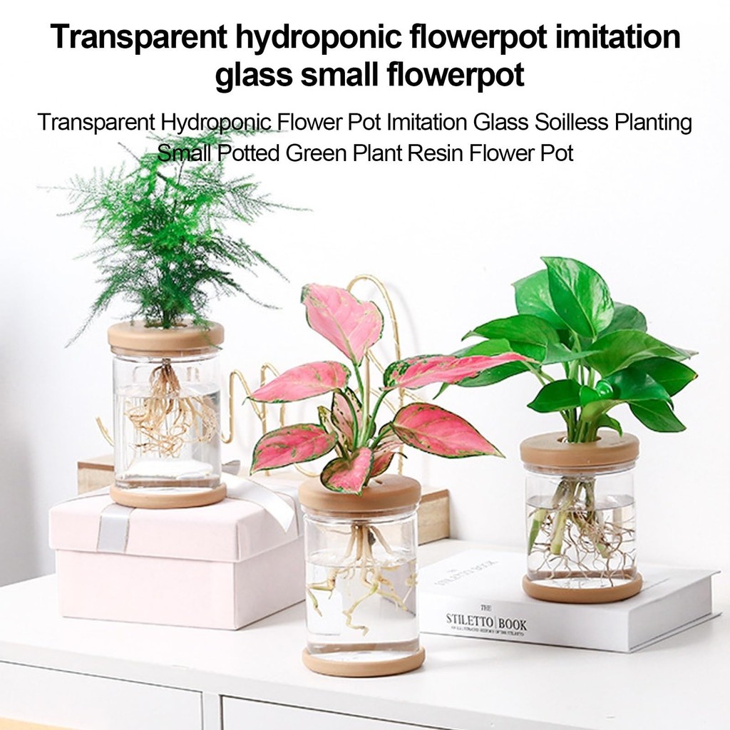 Desktop Plant Terrarium Glass Hydroponic Vases, Water Plant Jars Cork ...