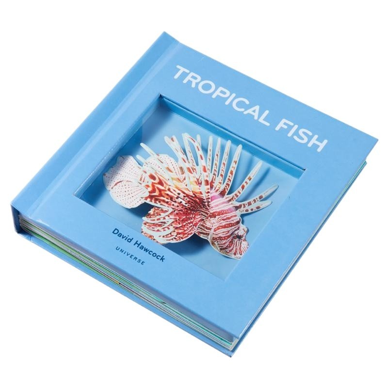 British paper artist David Hawkock tropical fish pop-up book Tropical ...