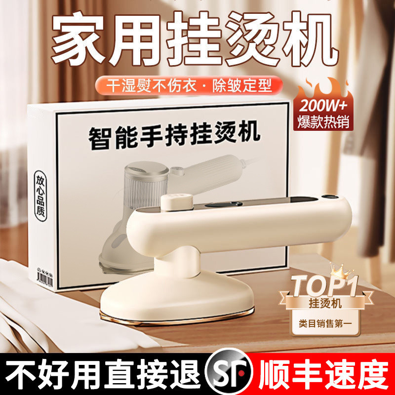 Germany Handheld Garment Steamer Large Steam and Dry Iron Pressing ...