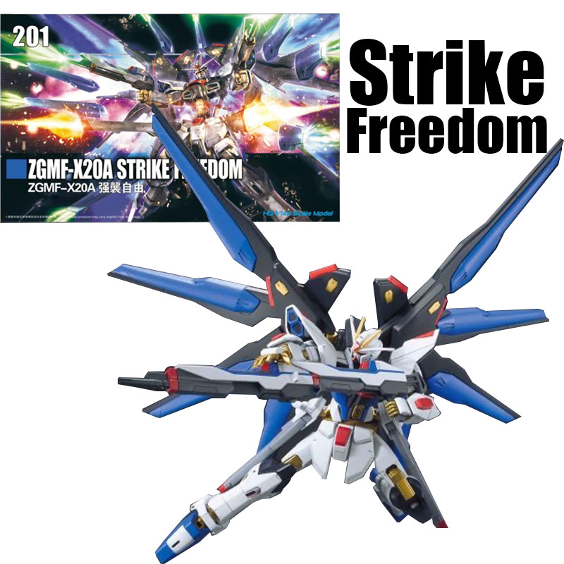 Hg Gundam Strike Freedom Infinite Justice Gouf Flight Type Dom Rising ...