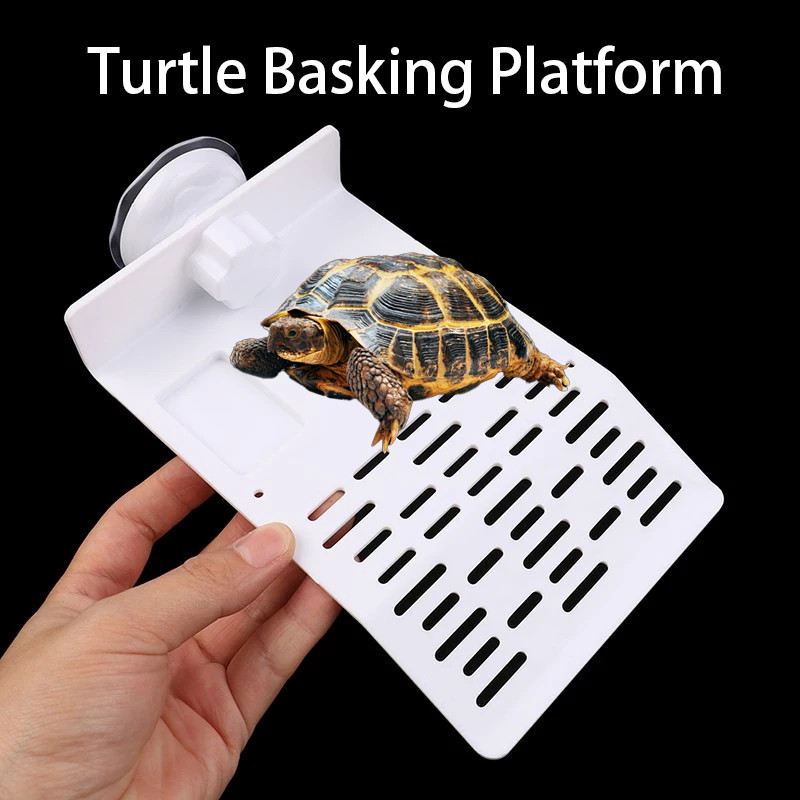 Turtle Basking Platform Fish Tank Aquarium Platform Turtle Resting for ...