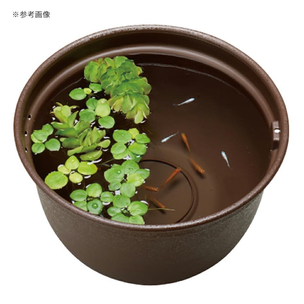 GEX Medaka Care Pot - Lightweight Resin Outdoor Planter with Drainage ...
