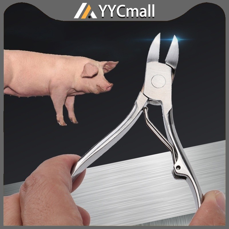 Stainless Steel Piglet Teeth Cutter Dog Piglet Clipper Forceps Pig ...