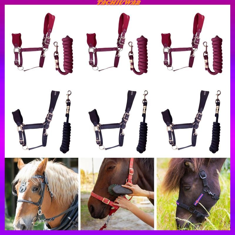 [Tachiuwa2] Horse Bridle with Rein Headstall Heavy Duty Equestrian ...