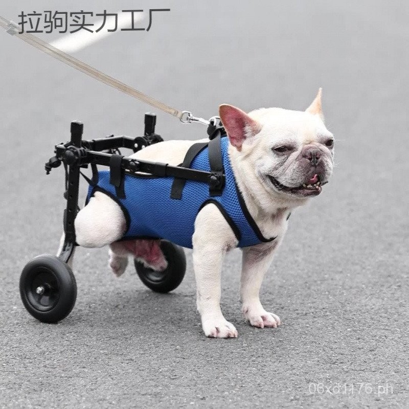 Rehabilitation Paralysis Assistive Disability Wheelchair Pushchair ...