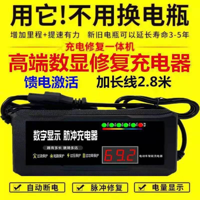 Activate Battery Repairer Electric Vehicle Charger48V60v72v Pulse ...