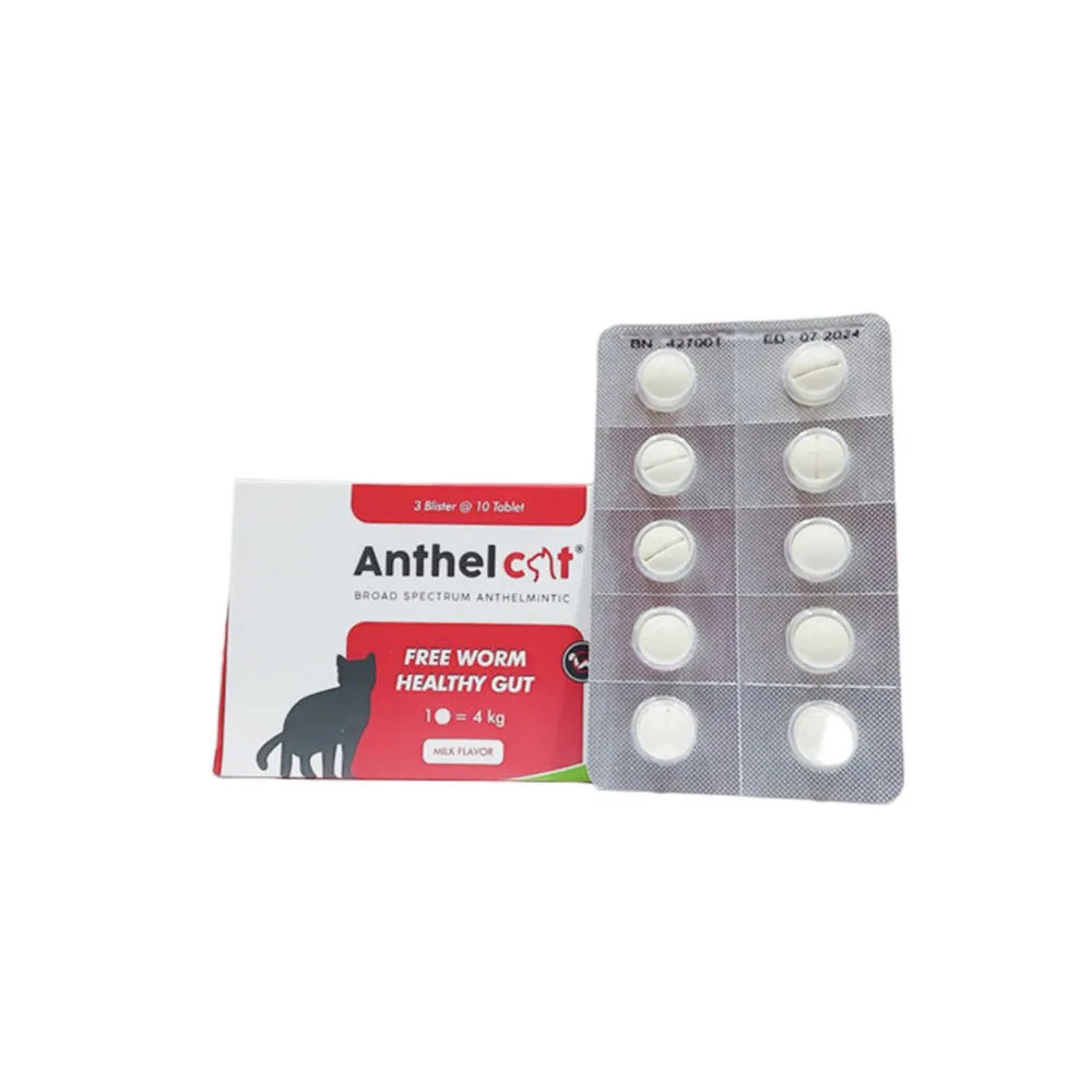 Powerful Cat Worm Medicine Anthel Cat By Kalbe Farma No Drontal Milk ...