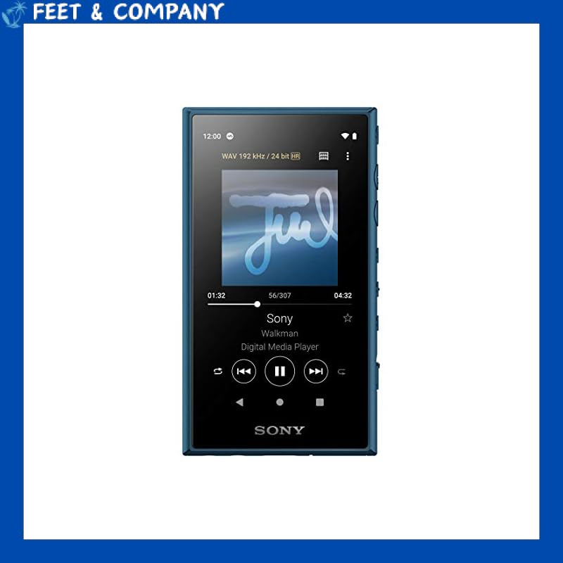Sony Walkman 32GB A Series NW-A106: High-Resolution Audio Compatible ...