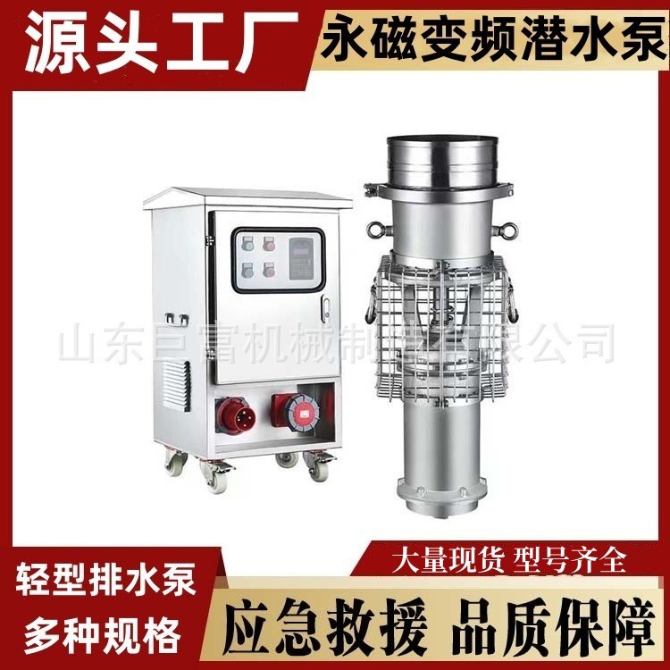 304Stainless Steel Permanent Magnet Inverter Submersible Pump Flood ...