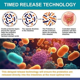 Mulittea Probiotics 120Billion CFU 36 Strains with Prebiotics&Digestive ...