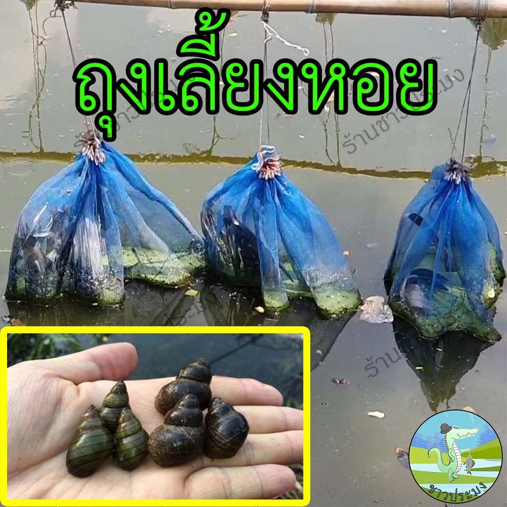 Shell Raising Bags Are Large And Small Jumbo Size Put Fish Frog Fruit ...