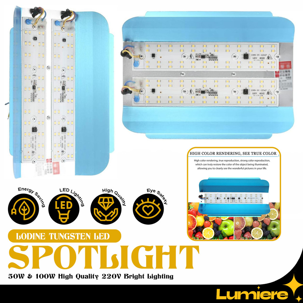 Lodine Tungsten/Outdoor High Power LED Lighting Flood Lamp 50W 100W ...
