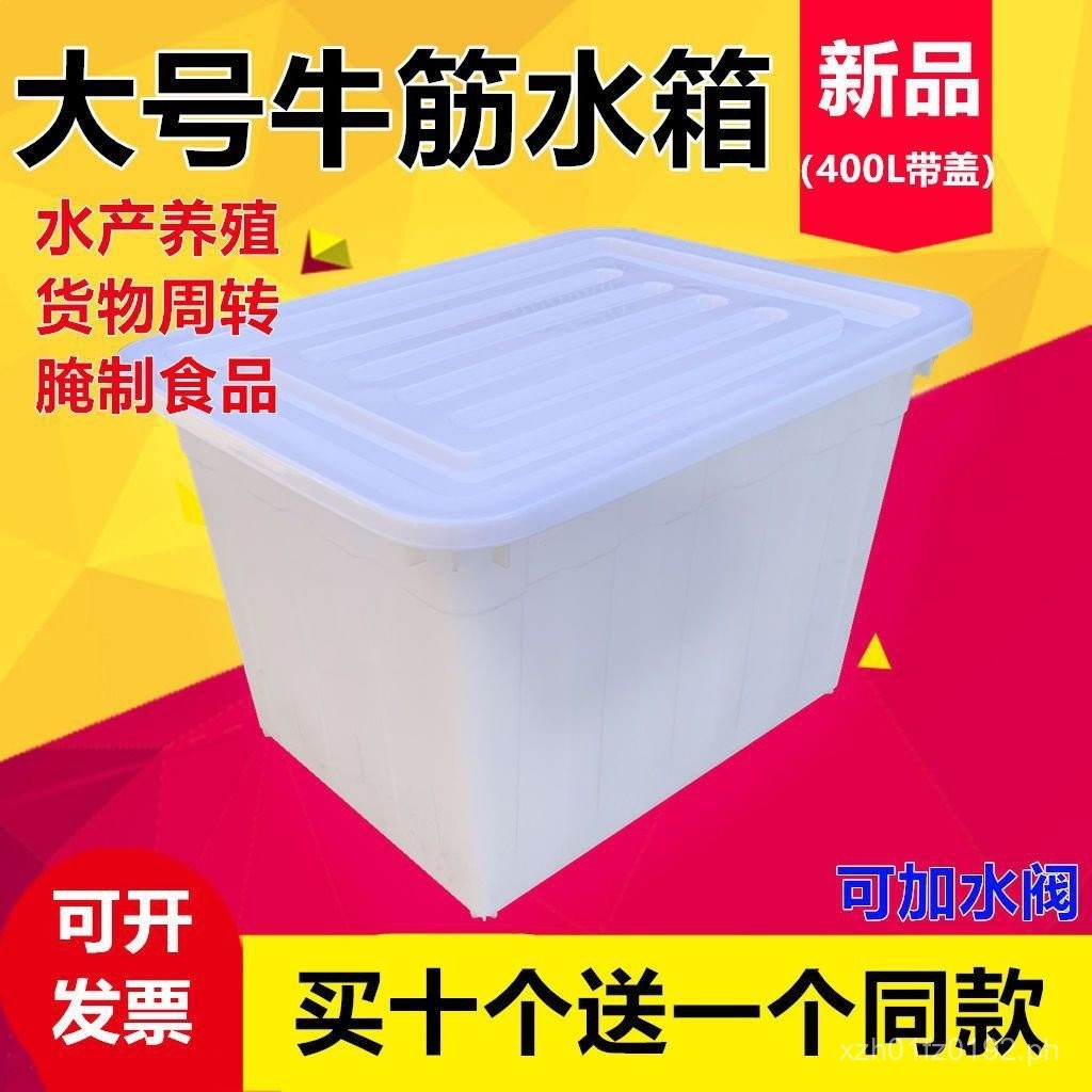Large Rectangular Beef Tendon Water Tank Beef Tendon Breeding Basin ...