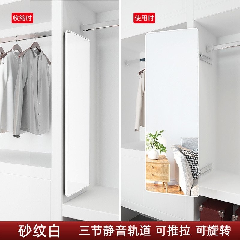 Wardrobe Full Body Dressing Mirror Built-in Push-Pull Vertical Hinged ...