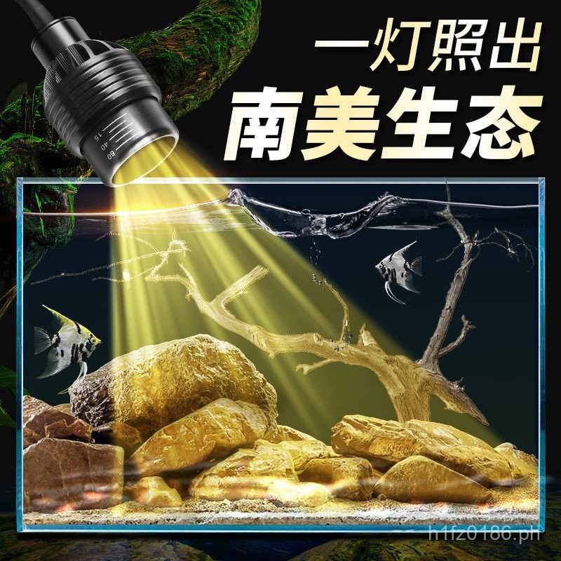 Fish Tank Light South American Tank Spotlight Adjustable Light and ...