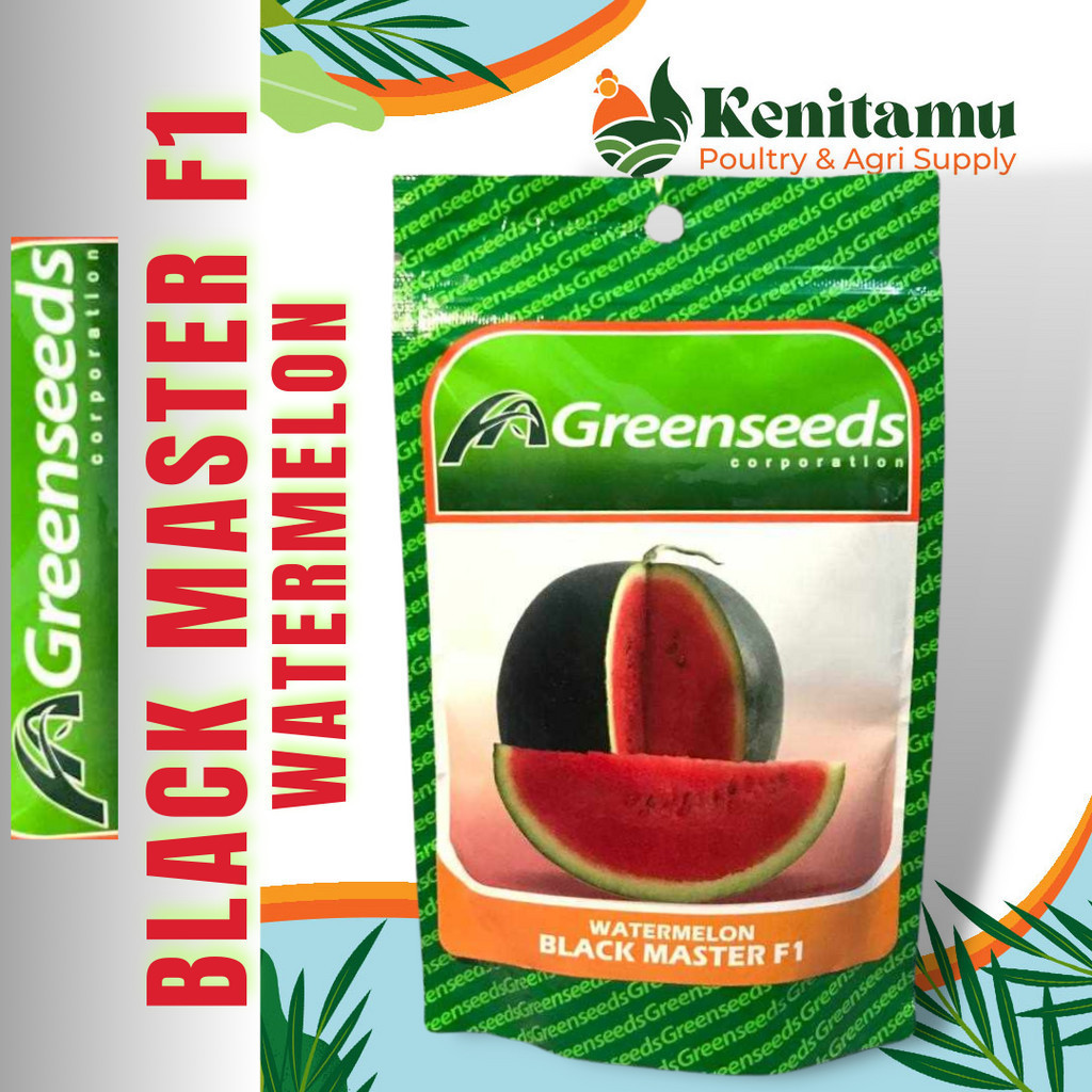 Black Master F1 Watermelon Seeds 50g – High-Yield Hybrid by Greendseeds ...