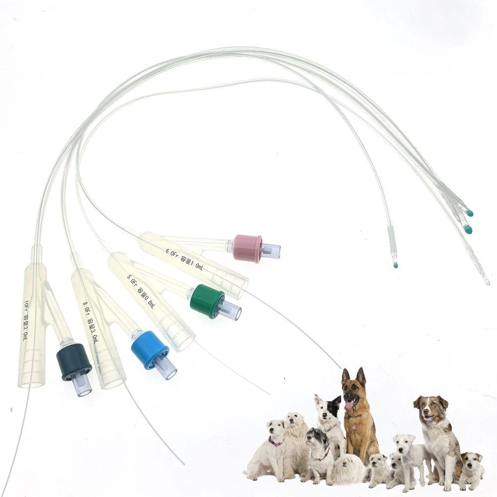 Professional Pet Dog 2-ways Urinary Catheter Foley Unblock Urine ...