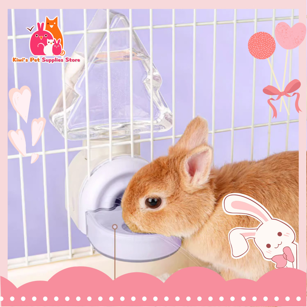 Rabbit Kettle Automatic Water Feeder Chinchilla Rabbit Small Pet ...