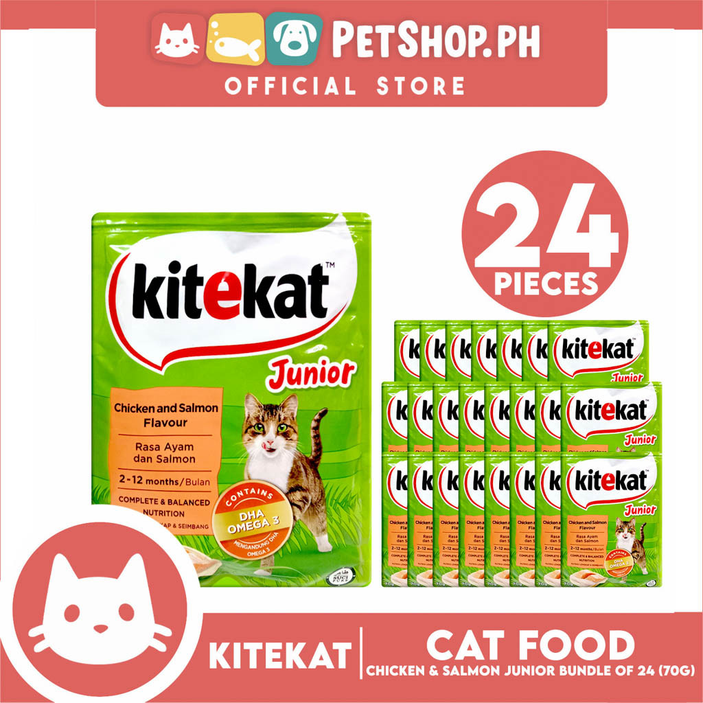 24pcs Kitekat Wet Cat Food in Pouch Junior 70g (Chicken and Salmon ...