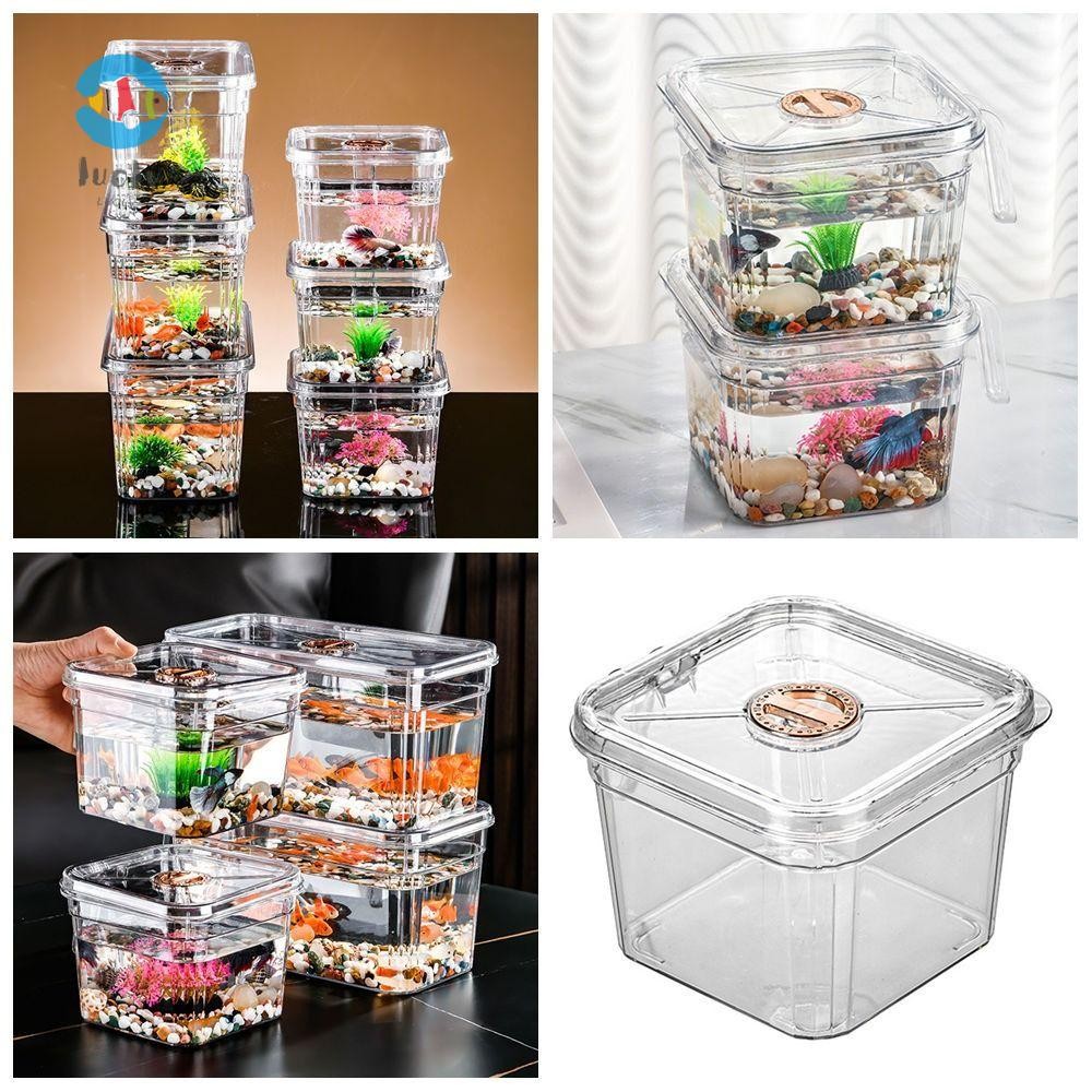 LUOLUVO Fish Tank, Square With Lid Turtle Tank, Creative Plastic ...