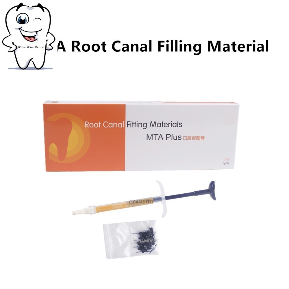 MTA PLUS Dental Cement Endodontic Sealer Root Canal Filling Material 1g ...