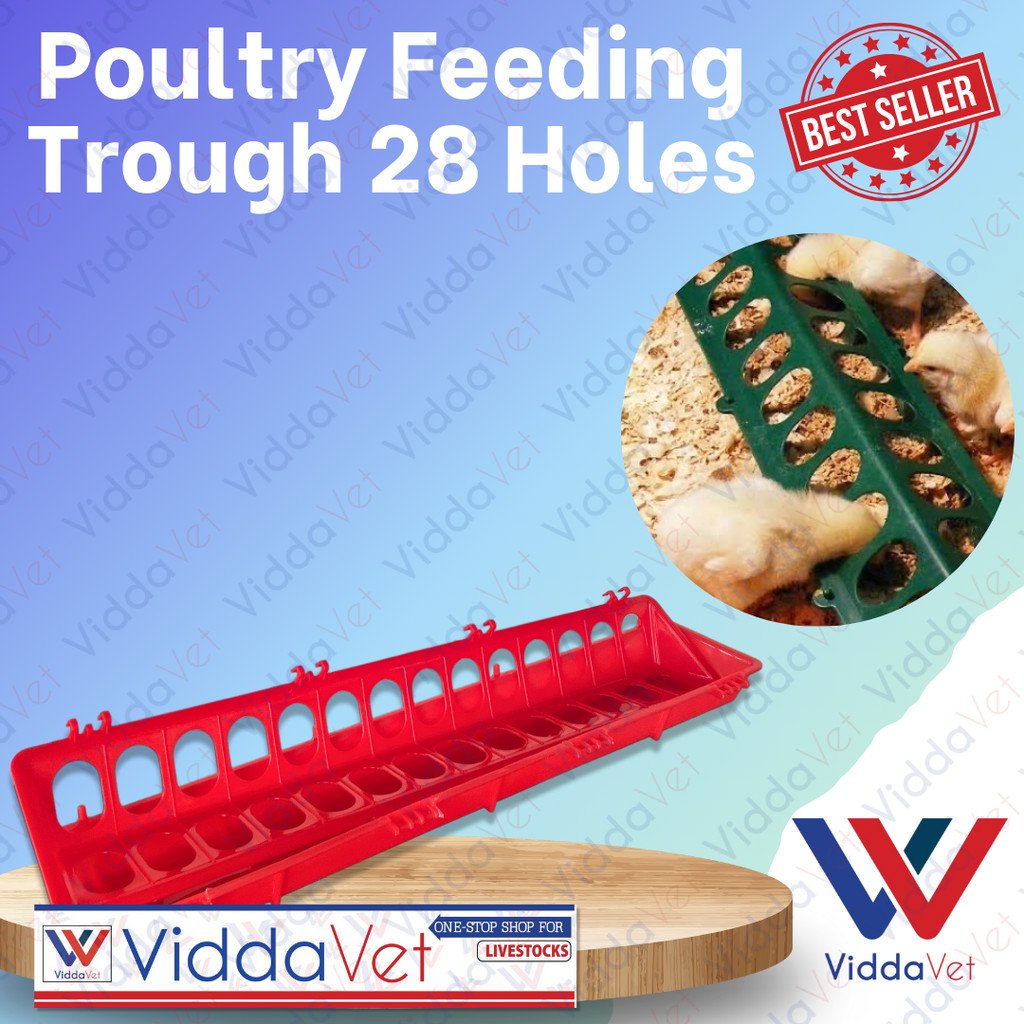 Long Trough Quail feeders no Waste Chicken feeders for Chickens Bird ...