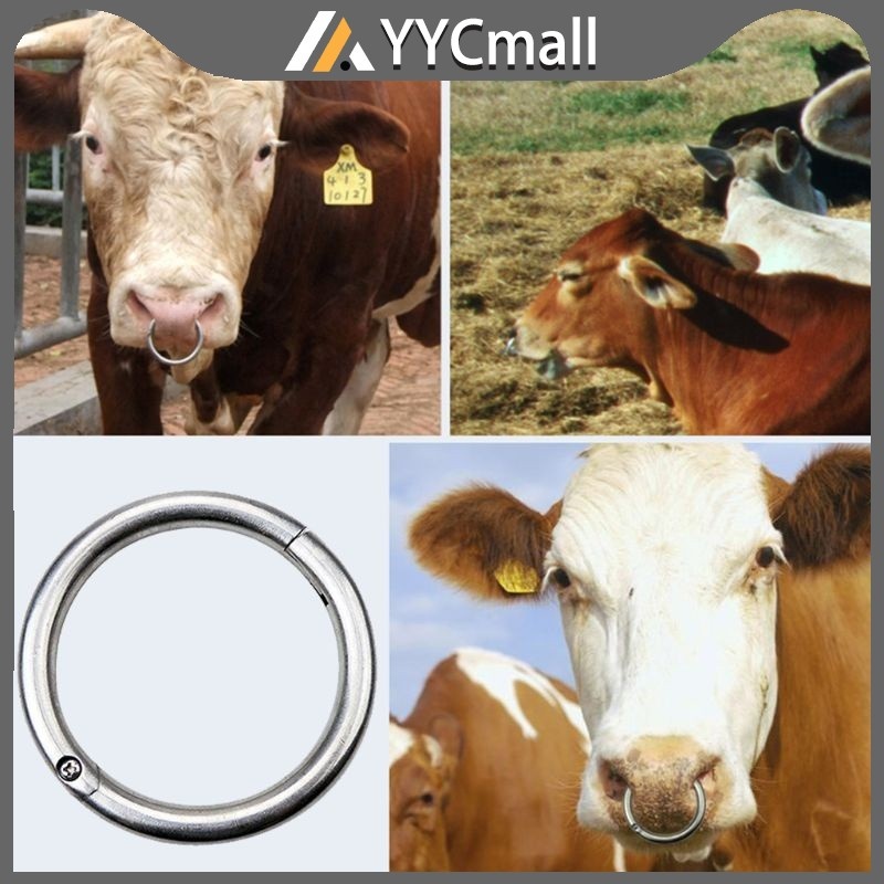 7Cm Cow Cattle Nose Ring Bull Cow Cattle Nose Ring Stainless Steel ...