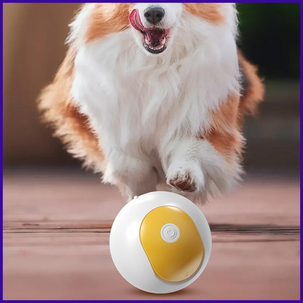 Treat Dispensing Chew Ball Dog Snack Dispensing Balls Dog Snack ...