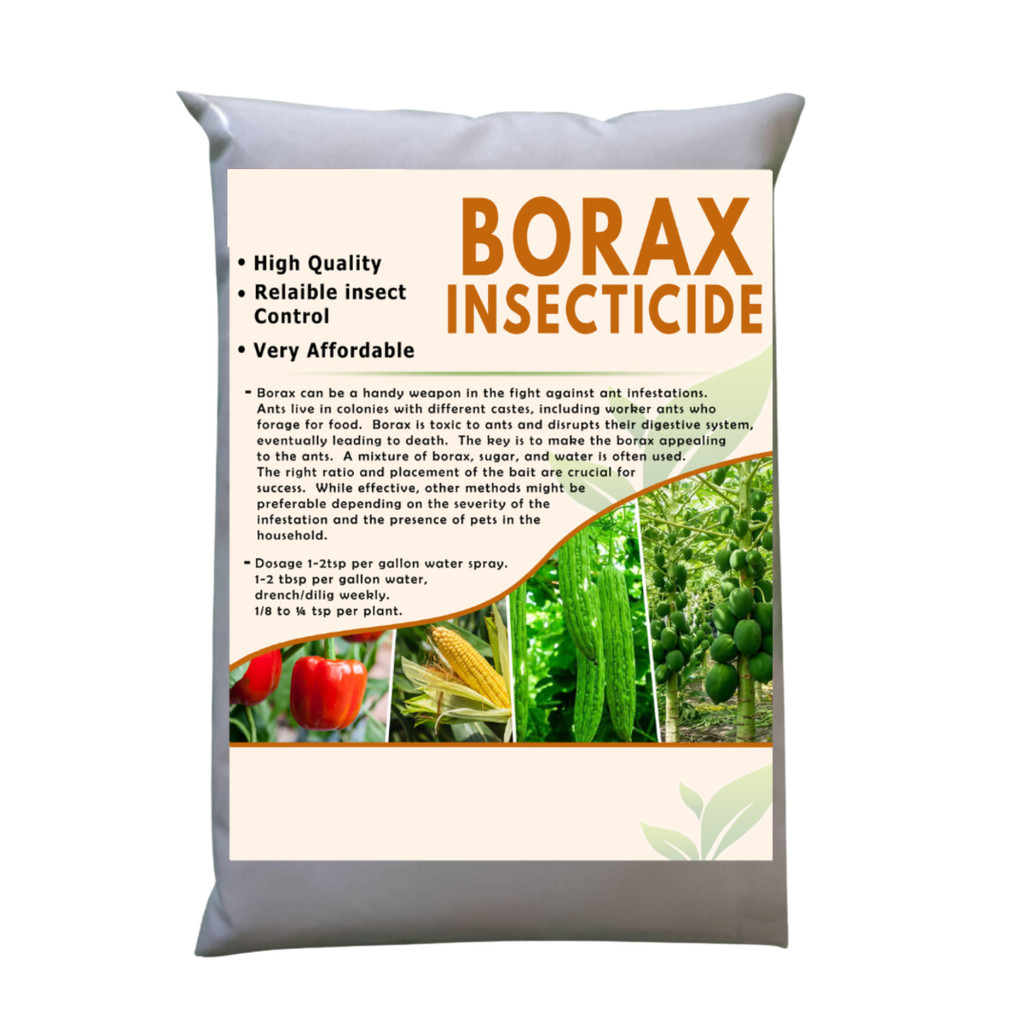 DAGHANG ANI FS BORAX NATURAL INSECTICIDE FOR ANT, COCKROACH, INSECT ...