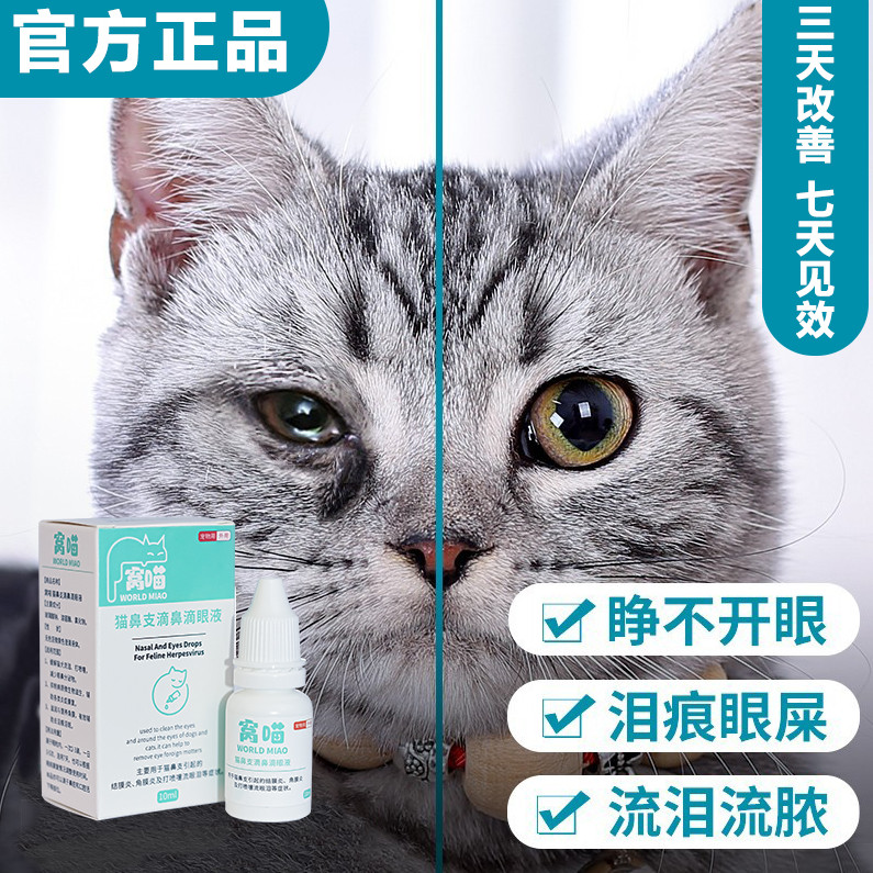 Nest Meow Pet Eye Drops Cat Nasal Branch Runny Nose Conjunctivitis Tear ...