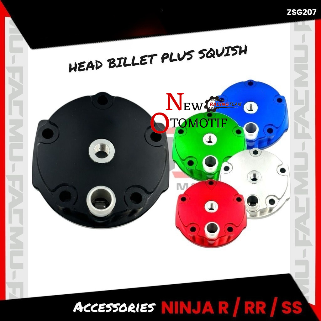 HEAD BILLET Plus SQUISH V1 MUFAC Kawasaki NINJA 150 R RR SS FULL ...