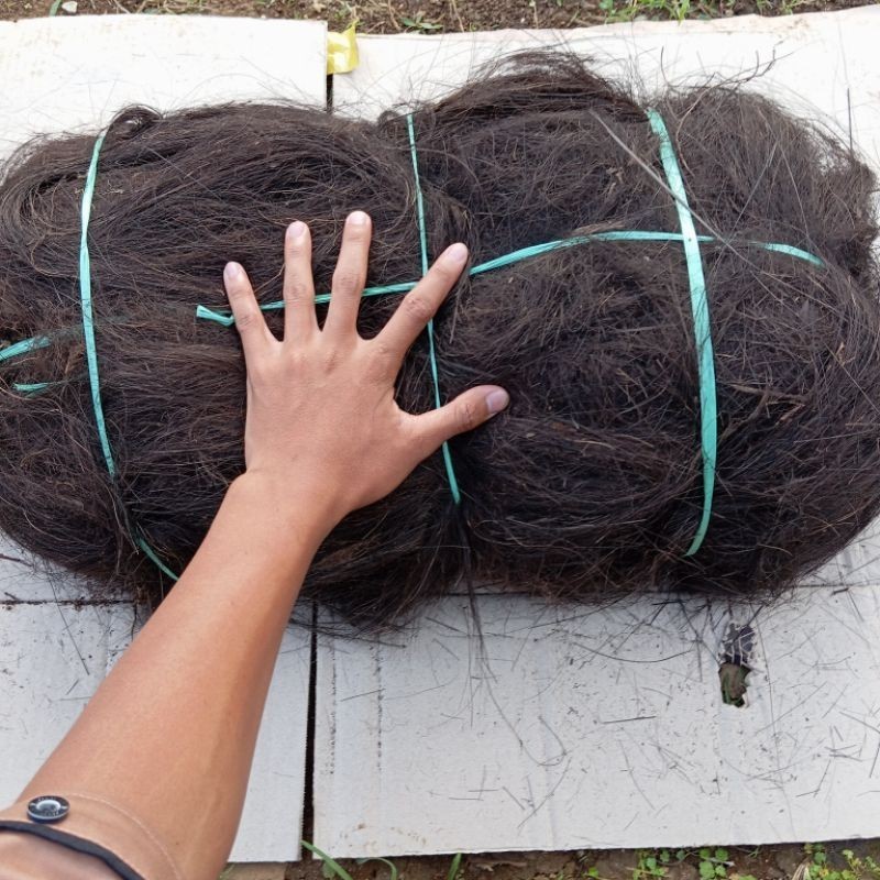 500 gram Fiber Fibers/Infiltration Palm Fibers/Palm Fibers Water filter ...