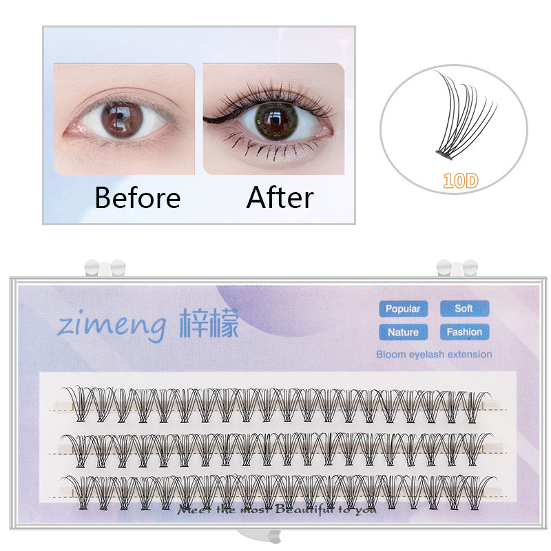 10-80D 3D Cluster Lashes Extension Natural Thick Fake Eyelash Strip ...