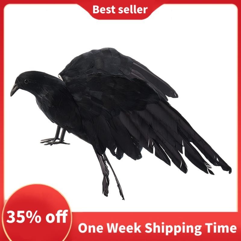 Available Halloween prop feathers Crow bird large 25x40cm spreading ...