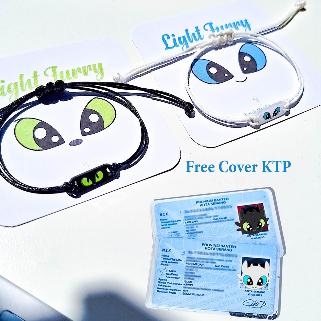 Eye Night Fury & Light Fury Special Edition Drawstring Adjustable ...