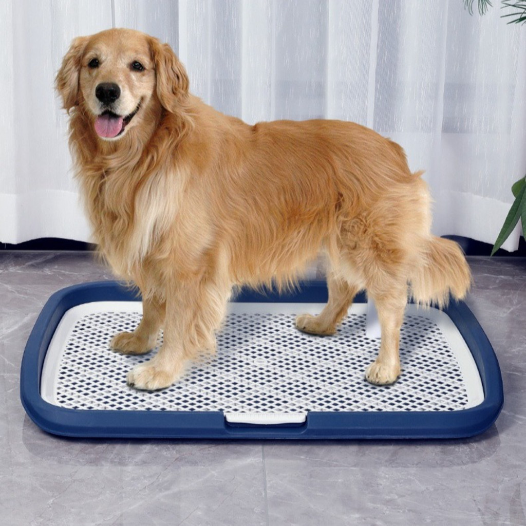 Dog toilet for small, medium and large dogs Dog pee tray Dog poop tray ...
