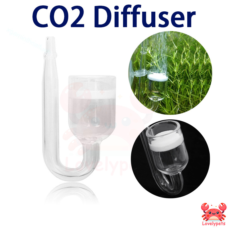 CO2 Diffuser Plant Ceramic Disces Refiner Fish Tank Regulator Aquarium ...