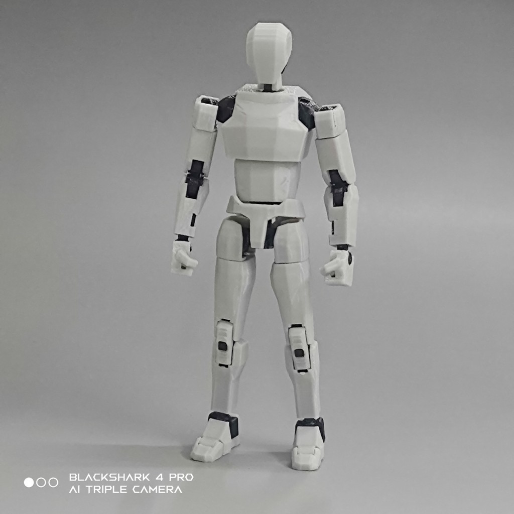Body Lucky 13 3D Printing Action Figure dummy13 Multi-Joint Action ...