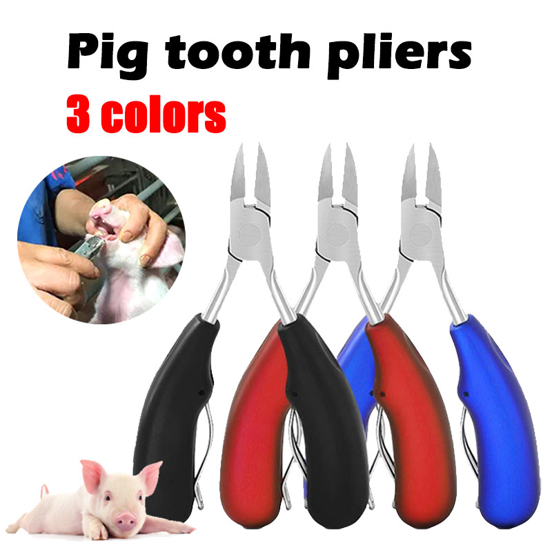 Pig tooth nipper Stainless steel teeth cutter Piglet broken tooth ...