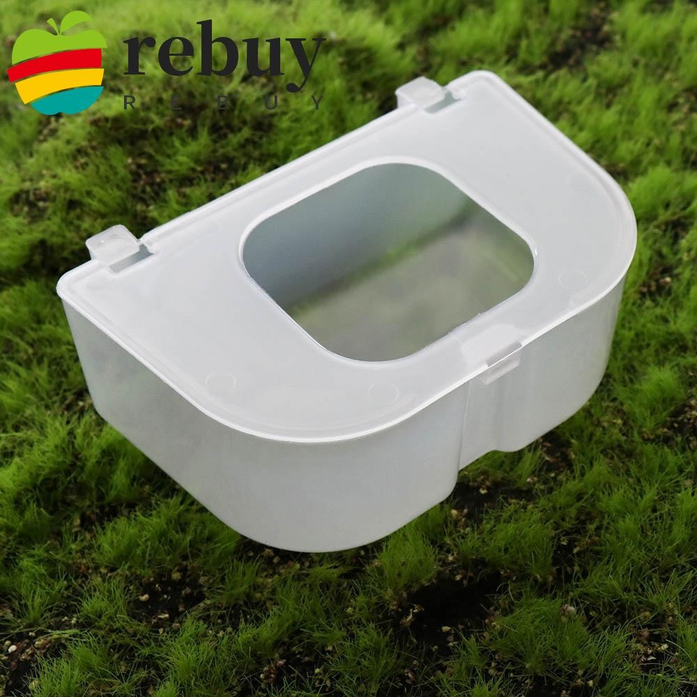 REBUY Pigeon Anti Scattering Food Box, Transparent Plastic Carrier ...