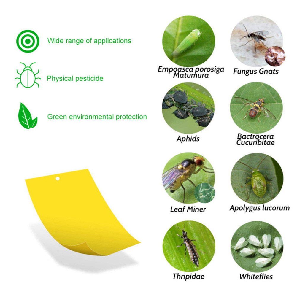 [outdoorstyle.ph] Sticky Insect Board Powerful Flycatcher Yellow Blue ...