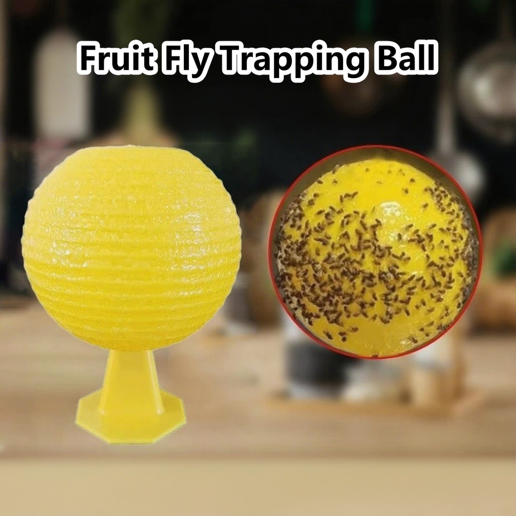 Flying Insects Traps Ball Flying Insects Trap Citrus Shaped for Indoor ...