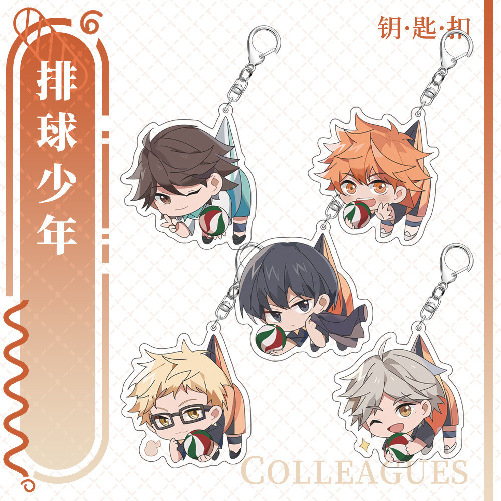 Cartoon Volleyball Boy Key Chain Anime Haikyuu Key Ring Hinata Shoyo ...