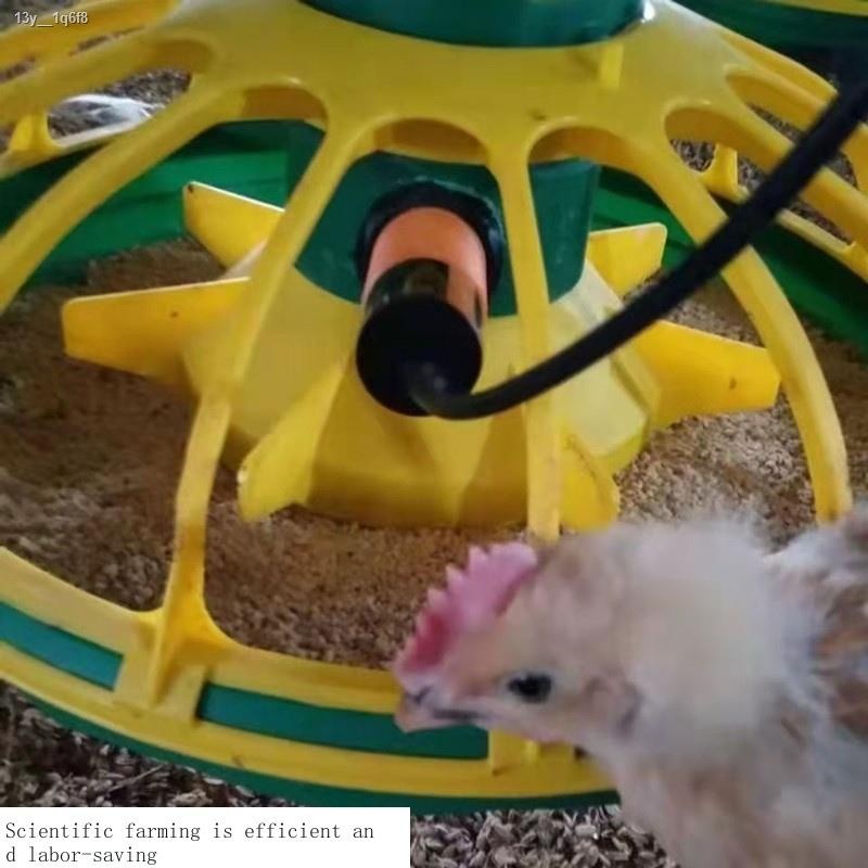 COD/Pig farm chicken farm feeder with sensor breeding auger feed line ...