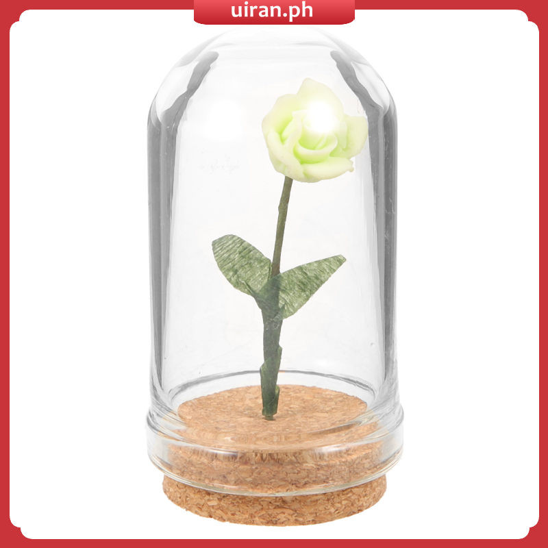 House Plants Small Decor Tiny Bonsai Model Mini Glass Dome Preserved ...