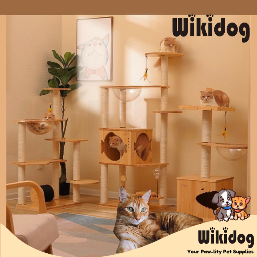 4 and 5 Layers Premium Wooden Design Cat Scraper Cat Condo Cat Tower ...