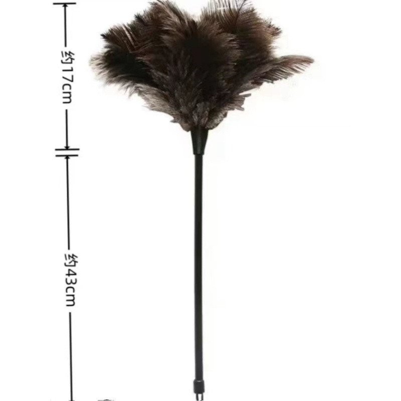 Magic Duster Duster Cleaning Tool Ostrich Feather Dust Removal Vacuum ...