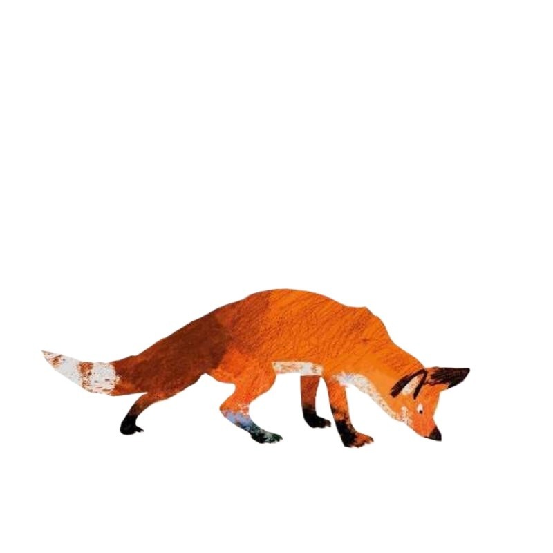 Fox A Circle of Life Story 狐狸 生命的循环 英文原版 进口原版 5岁到7岁 精装 儿童图画书 Isabel ...