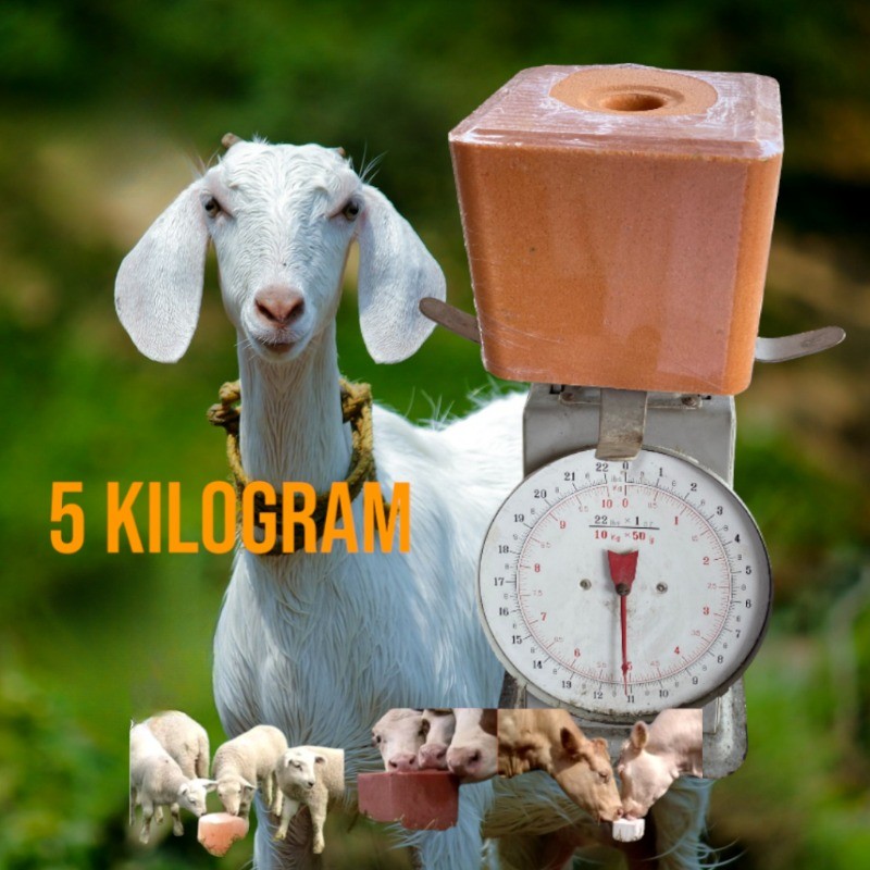 1pc 5kg For livestock use, beneficial for livestock use Natural ...