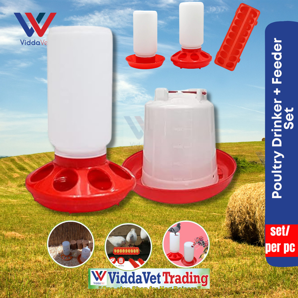 Chicken feeder and drinker Chicken water drinker automatic linear ...